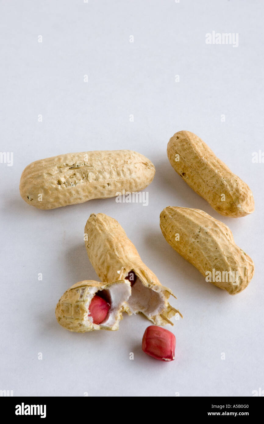 Peanuts or groundnuts Stock Photo - Alamy
