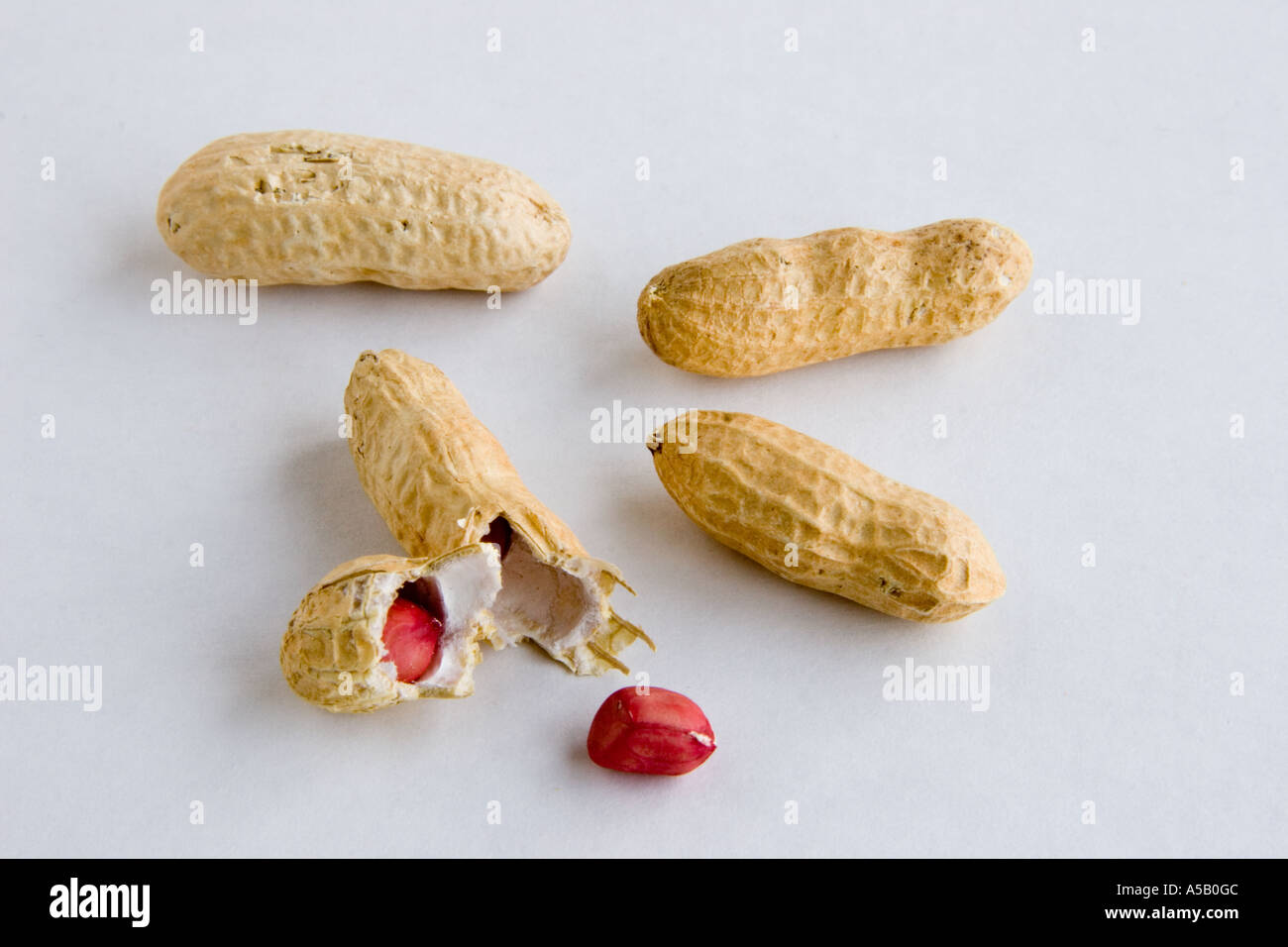 Peanuts or groundnuts Stock Photo - Alamy