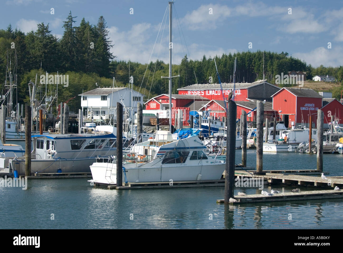 Ilwaco harbor hi-res stock photography and images - Alamy