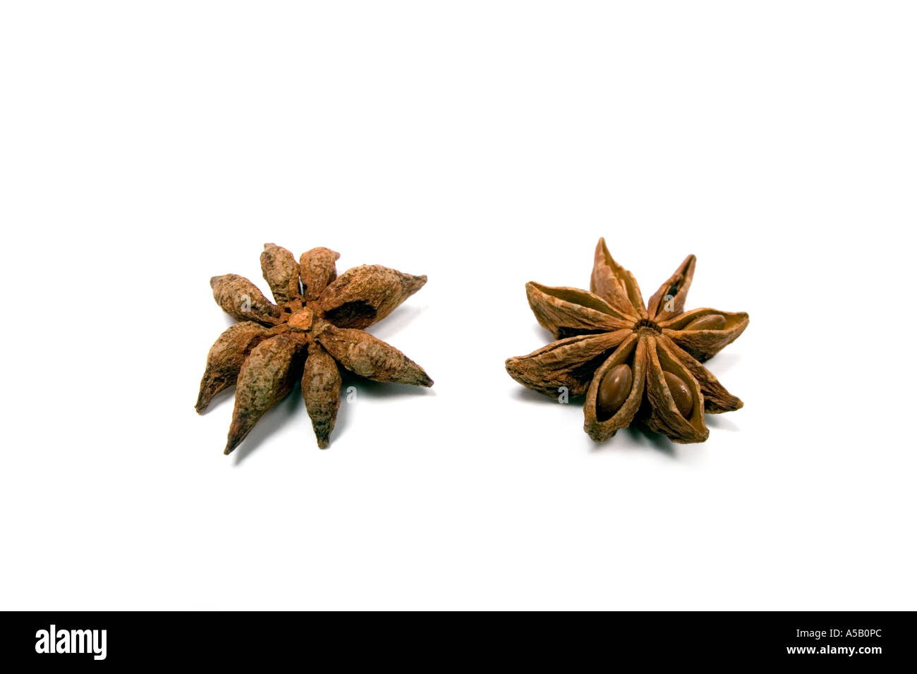 Star Anise , chinese spice , fruit of the evergreen Illicium verum ...