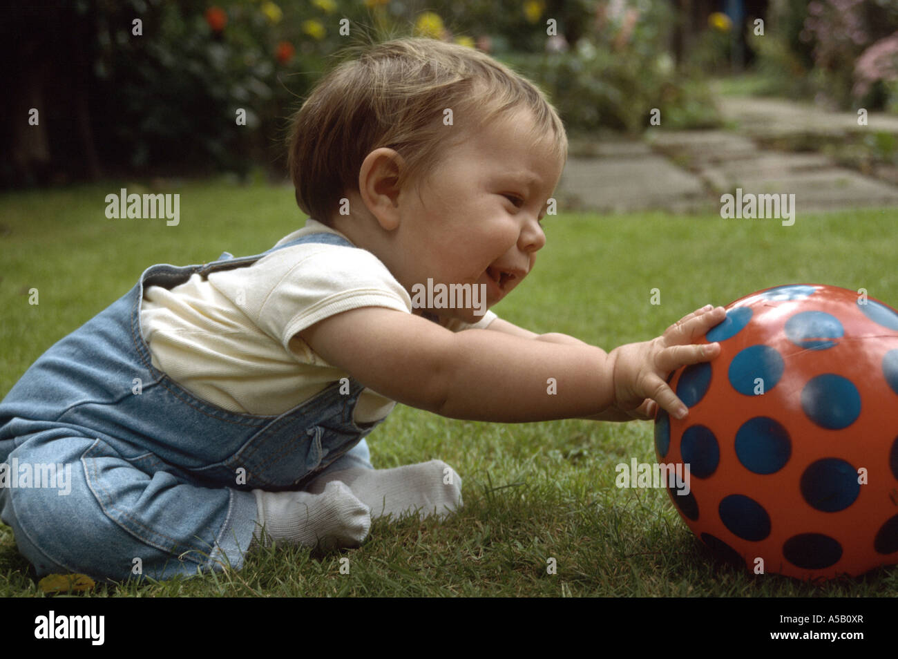 six month baby boy reaching for a ball seated on the grass Stock Photo ...