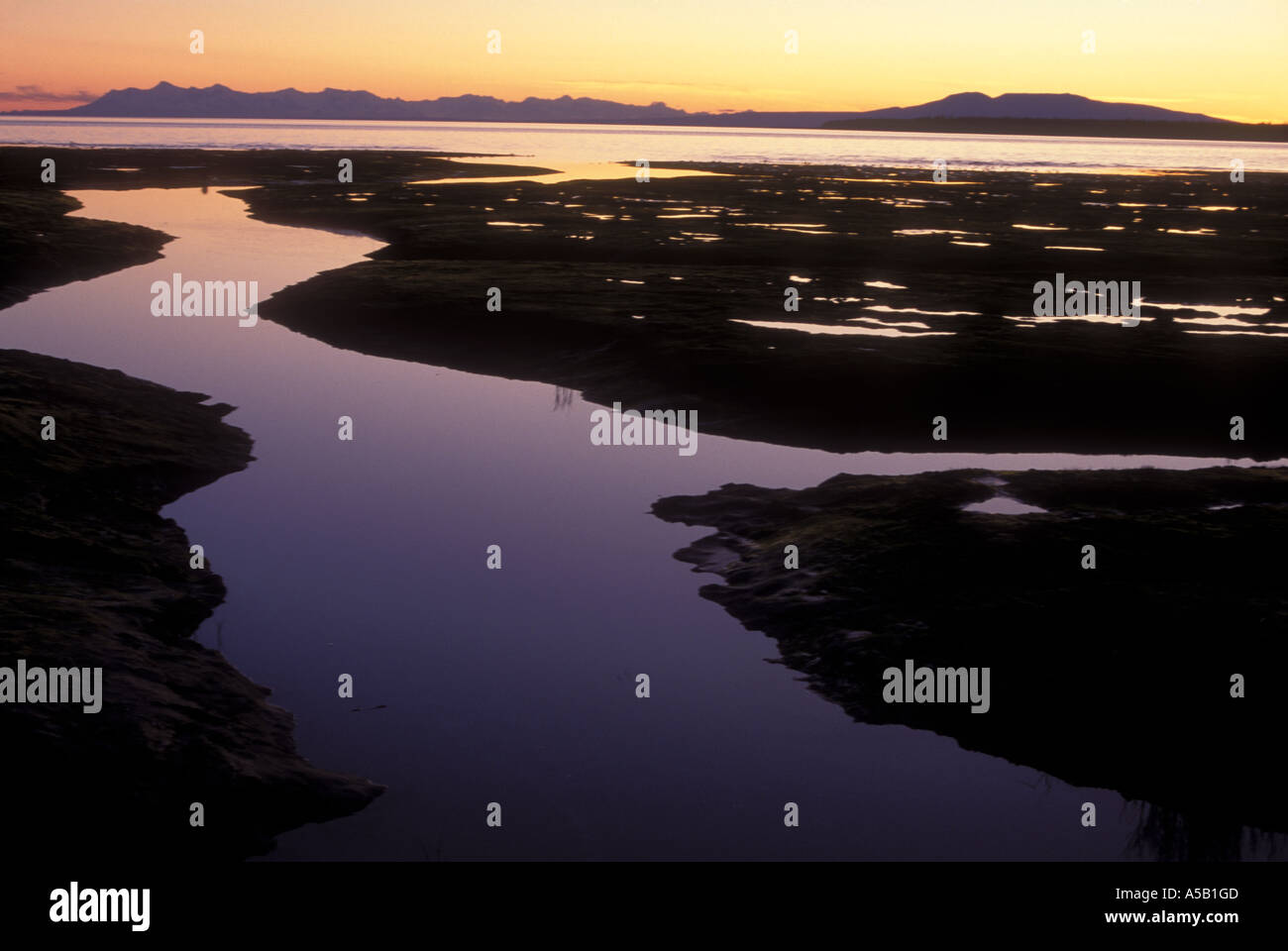 Susistn hi-res stock photography and images - Alamy