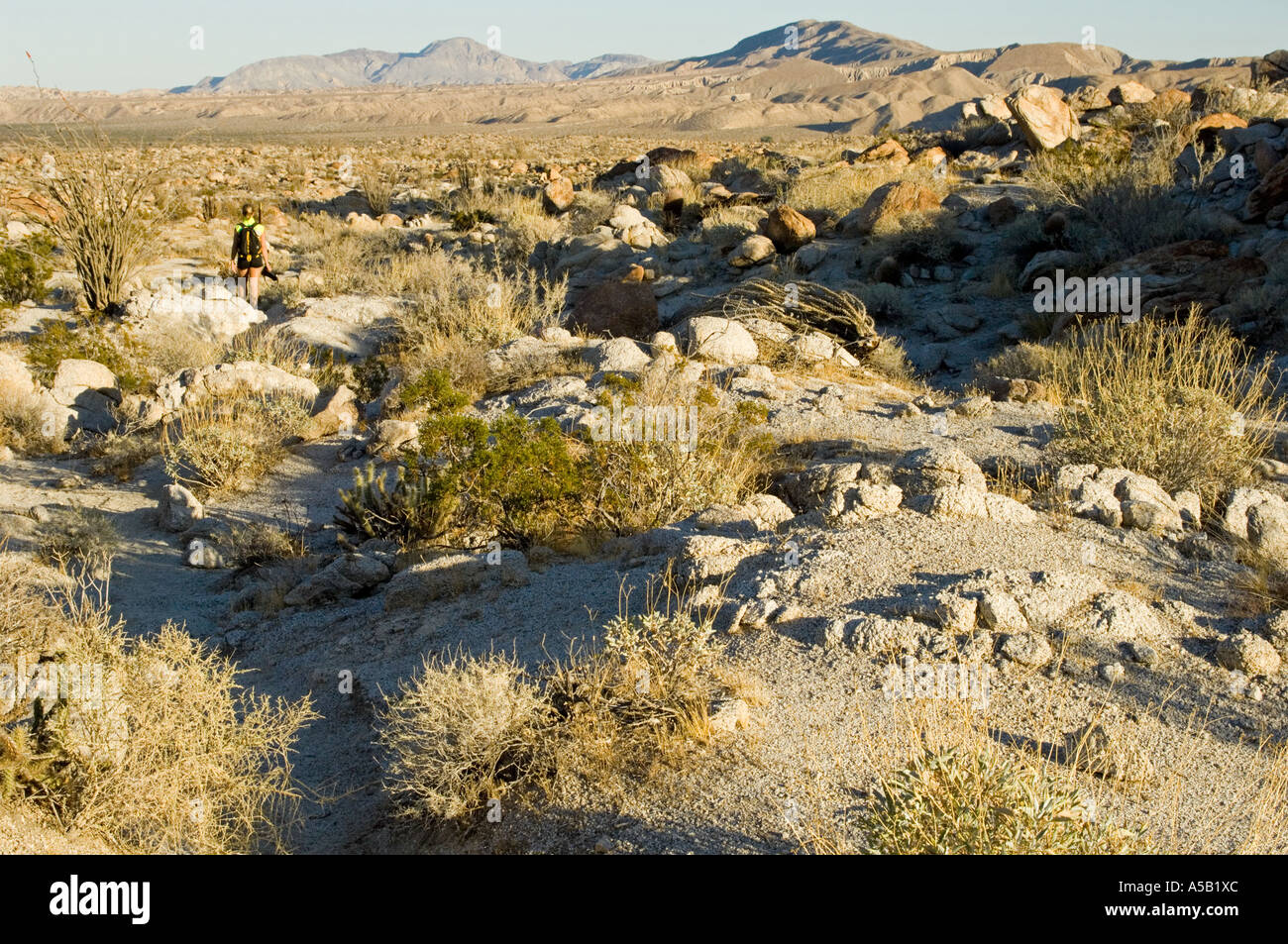 Open Desert in the Anza Borrego State Park Stock Photo - Alamy
