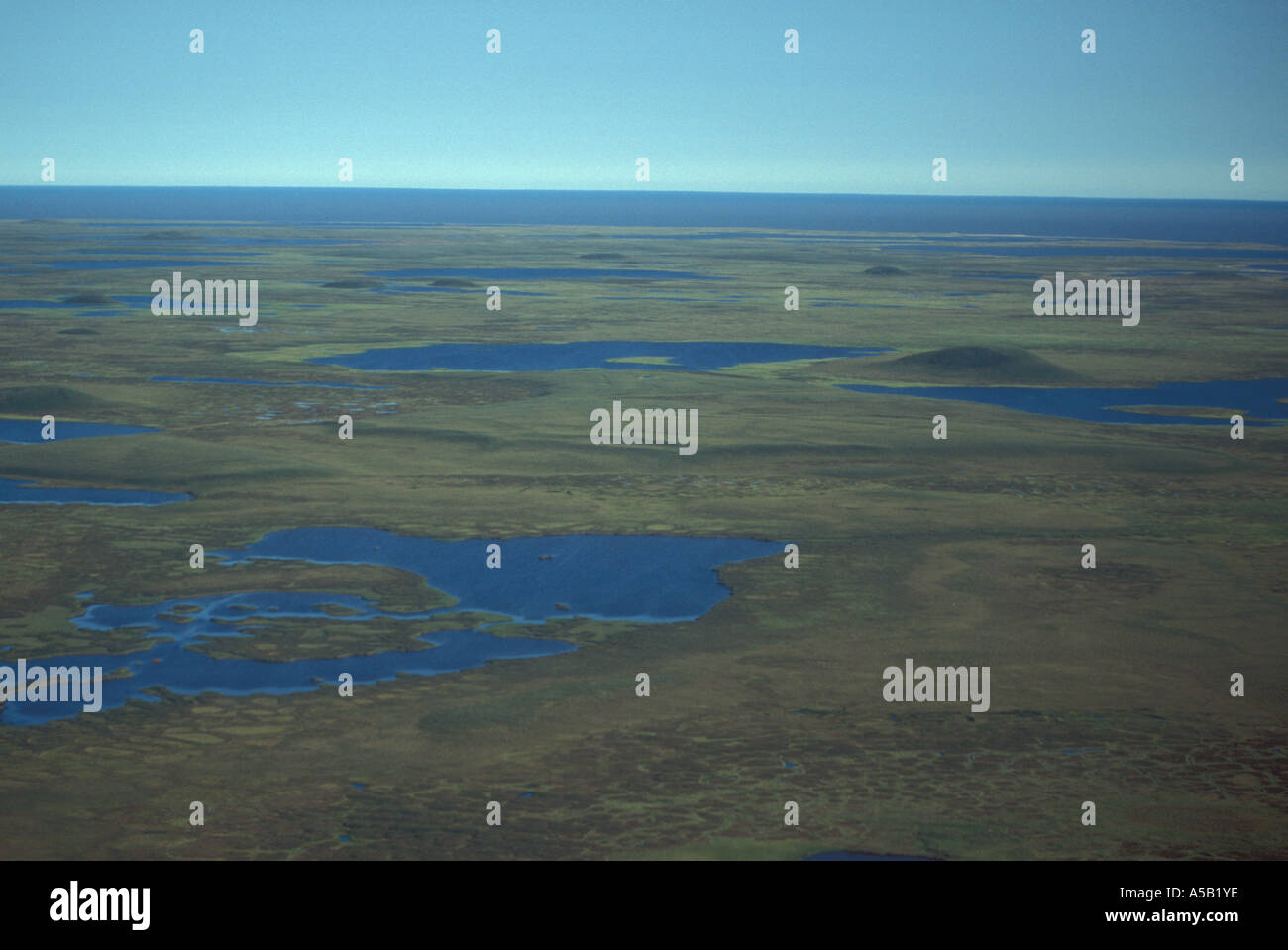 tundra with Pingo s waet of Tuktoyuktuk McKenzie river delta Beaufort ...