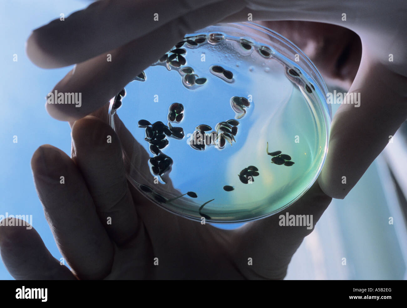 Rubber Science High Resolution Stock Photography and Images - Alamy