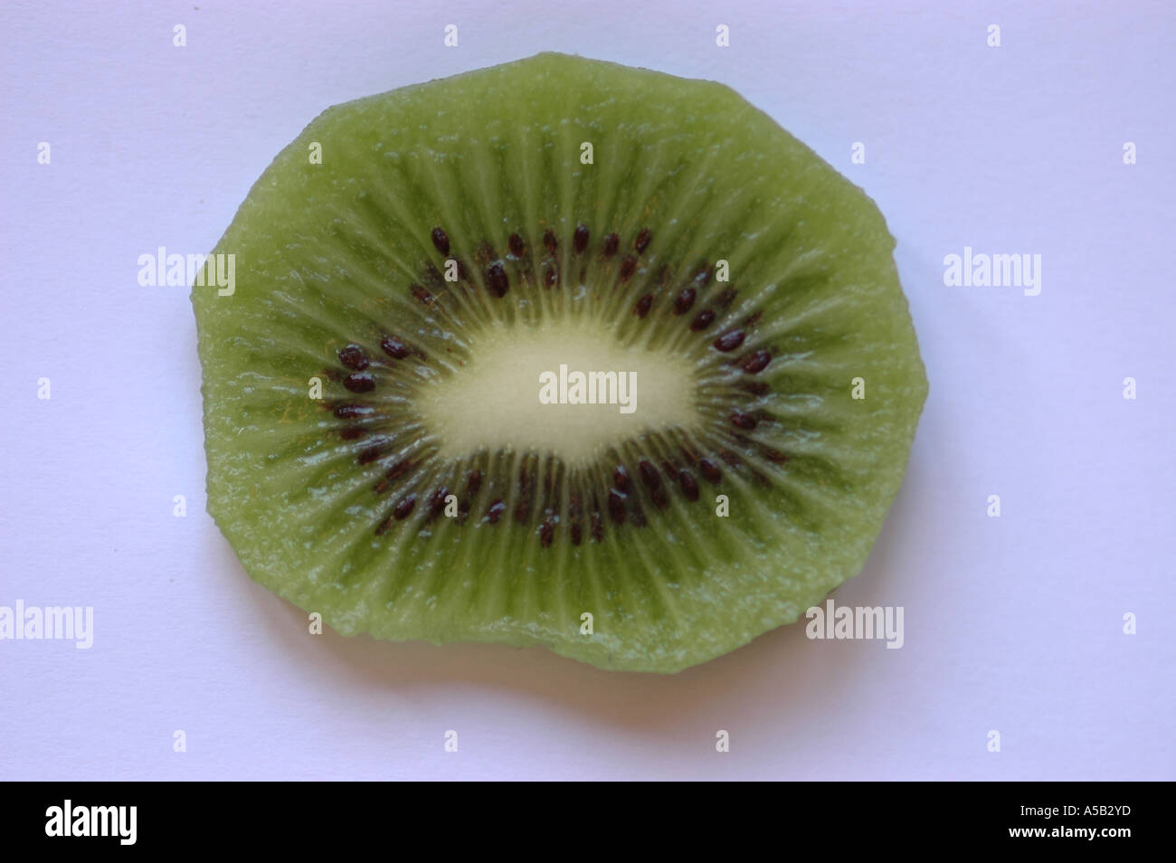 Kiwi fruit slice Stock Photo - Alamy