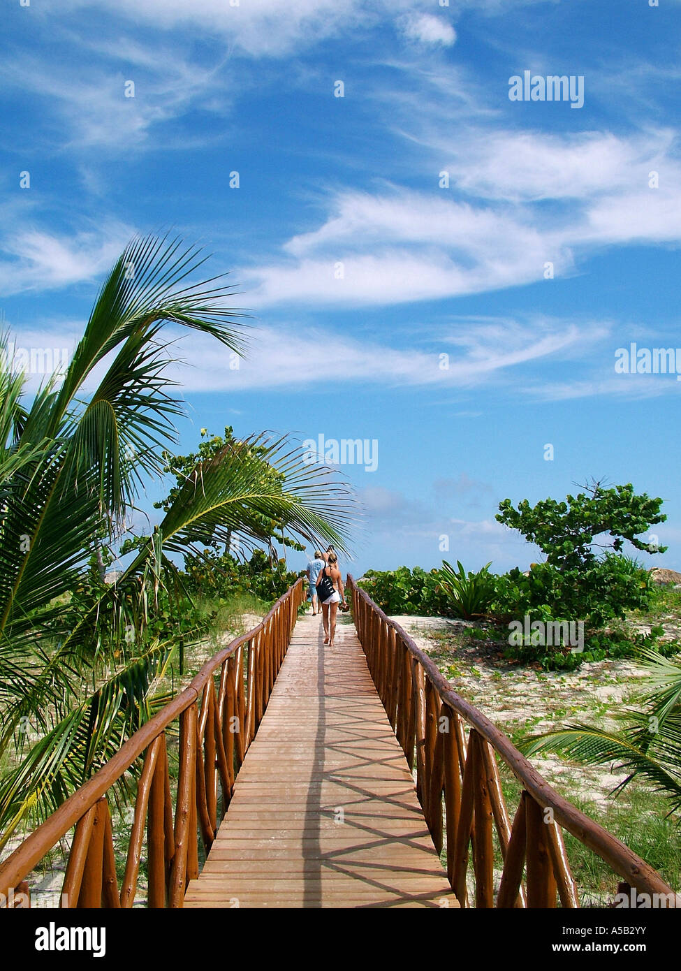 Walkway to tropical holiday beach Stock Photo - Alamy