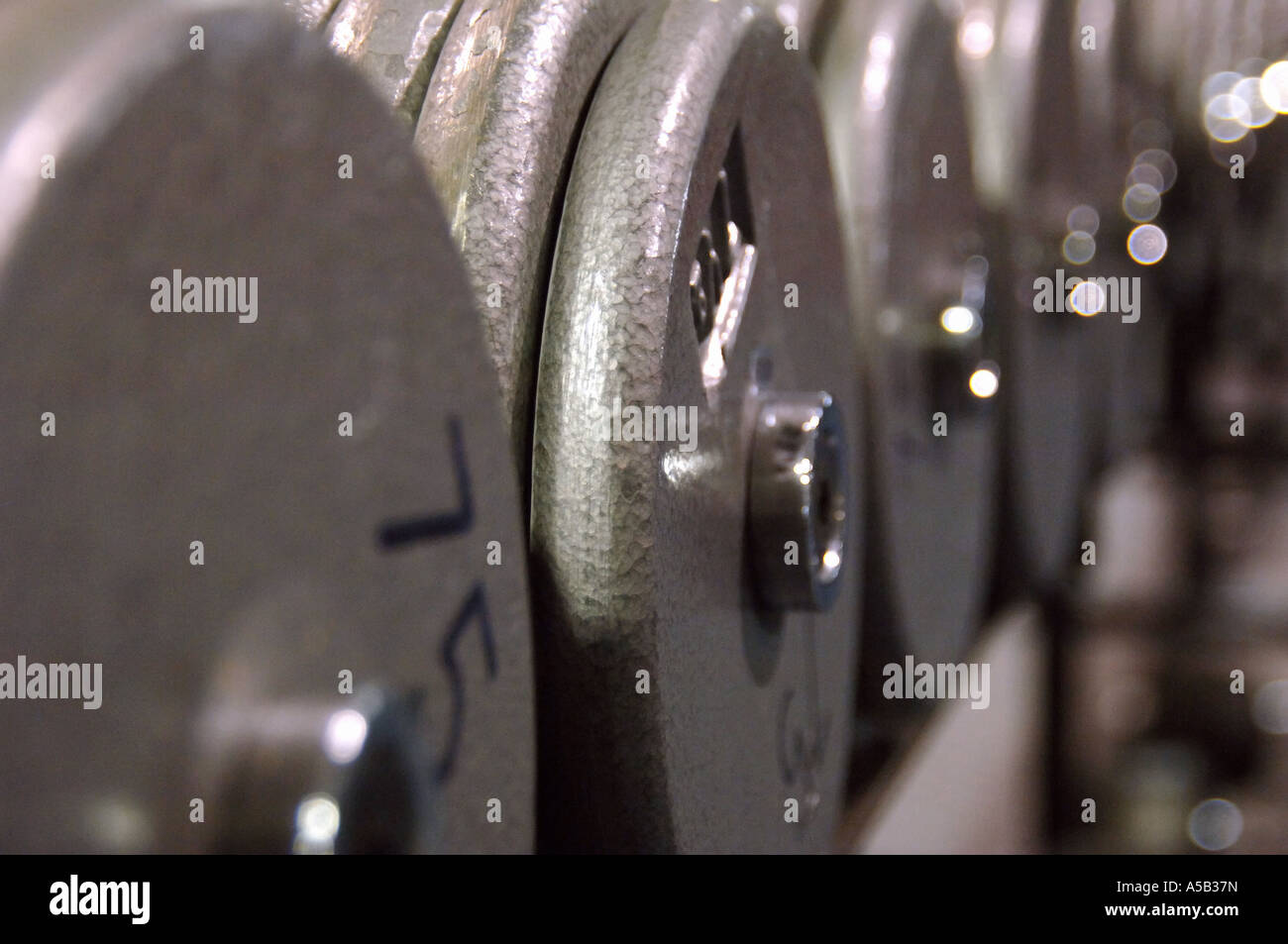 Row of weights in fitness club Stock Photo - Alamy
