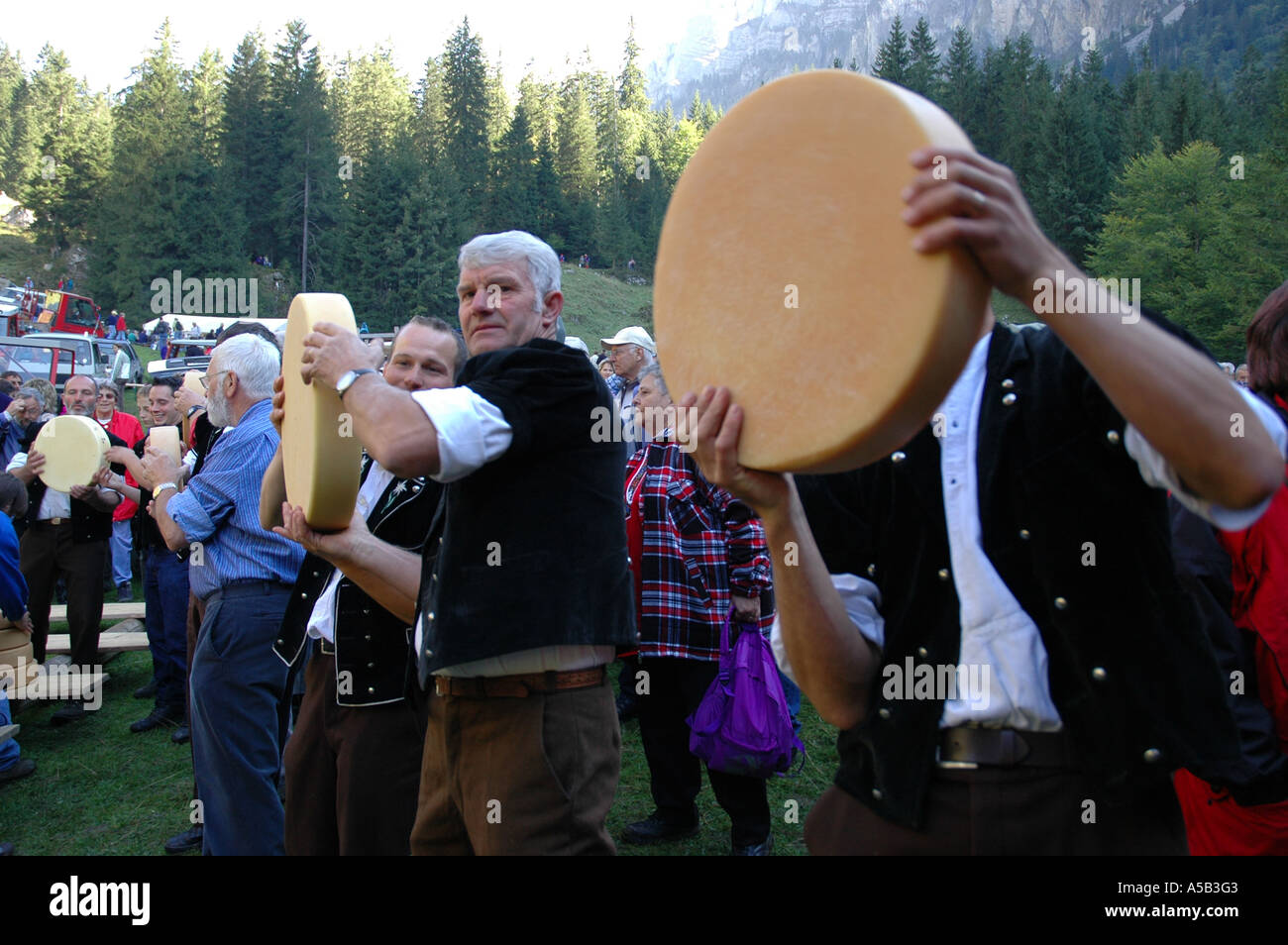 Cheese splitting at Justistal, Bernese alps, Switzernd Stock Photo - Alamy