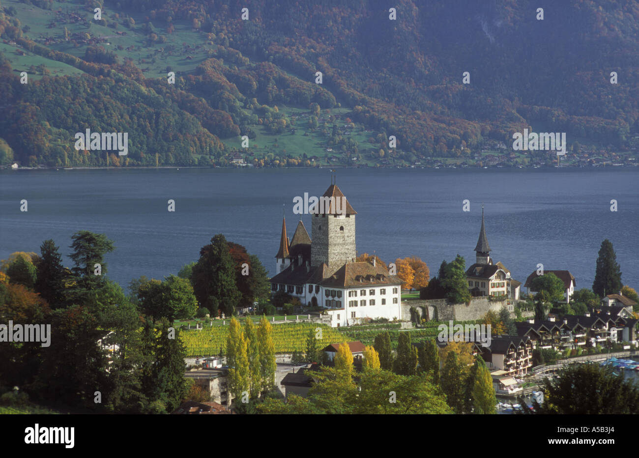 Medieval castle Spiez on Lake Thun, Bernese Oberland, Canton Bern ...