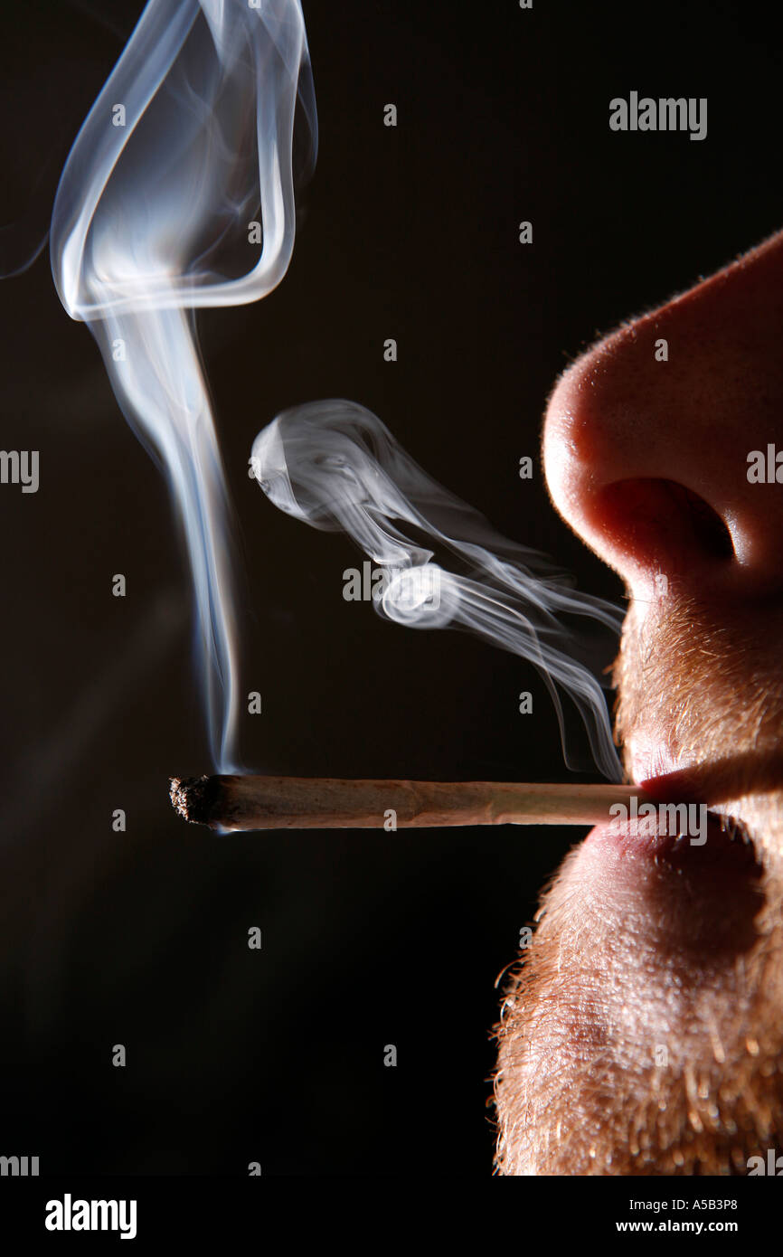 MAN SMOKING A CANNABIS JOINT Stock Photo - Alamy
