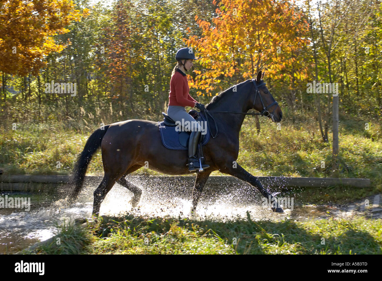 Young german rider hi-res stock photography and images - Alamy