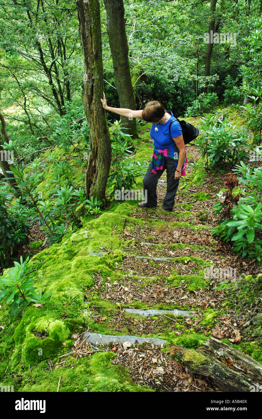 Woman climbing steep steps that are part on an ancient path through ...