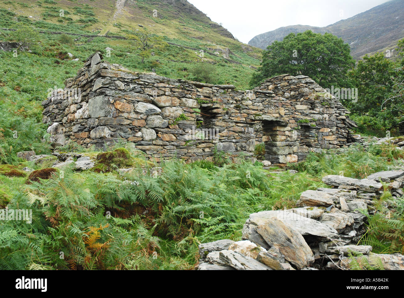 The ruins of an ancient stone built house Stock Photo - Alamy
