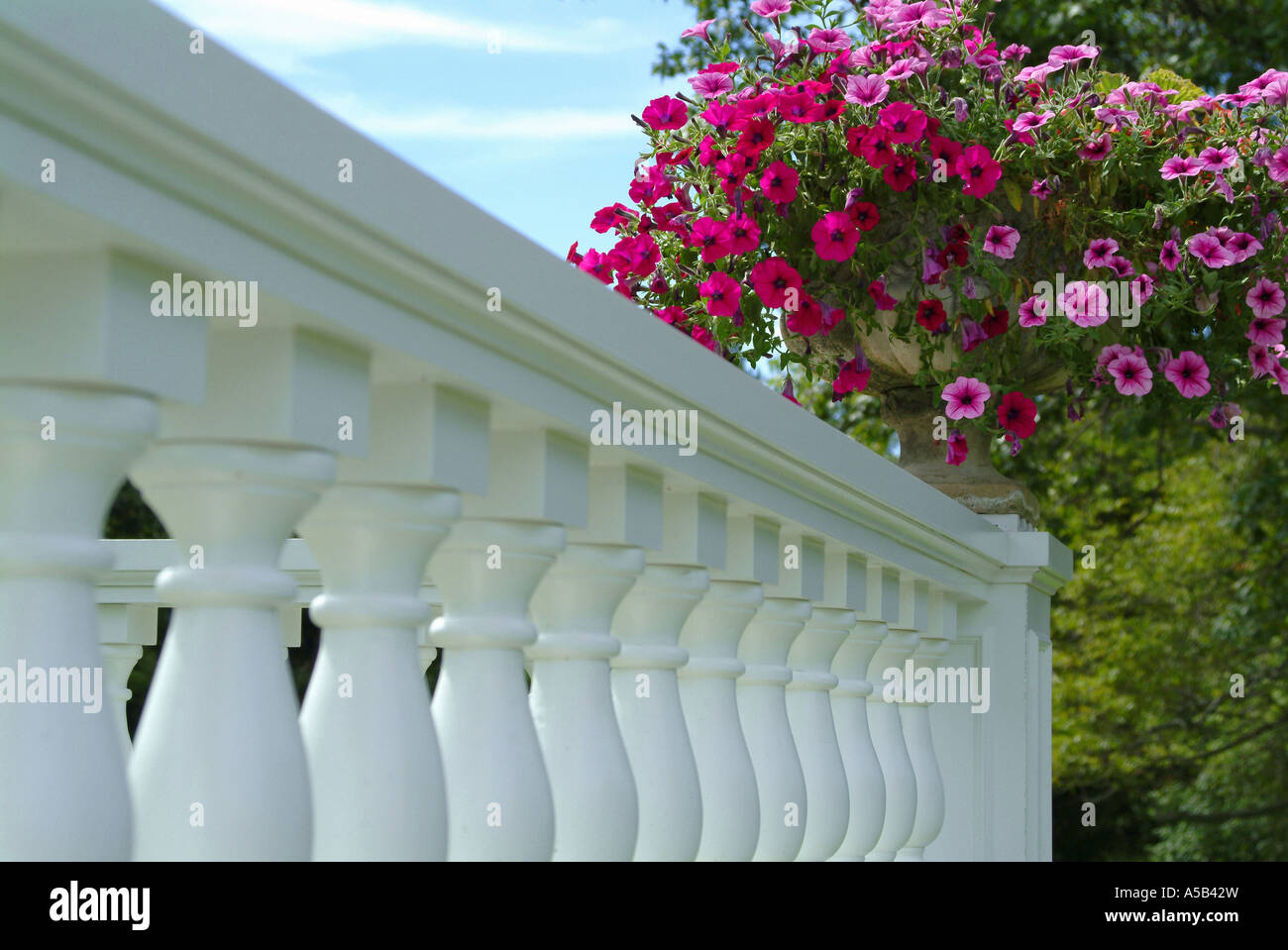Elegant white garden railing with flowers Stock Photo - Alamy