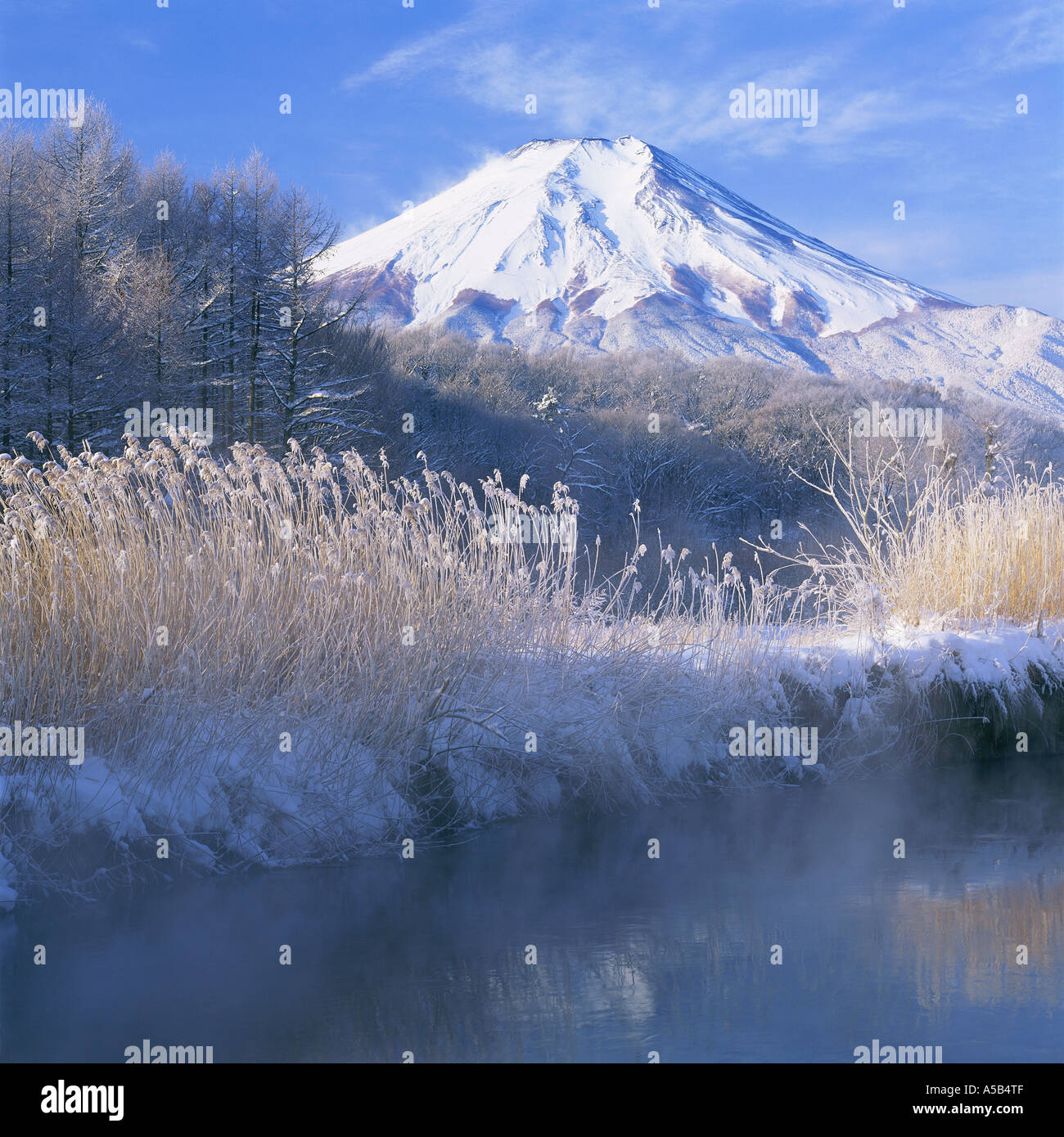 Mt Fuji in winter Stock Photo - Alamy
