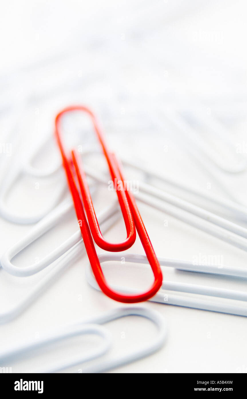 Red paper clip on top of clusters of white ones Stock Photo - Alamy
