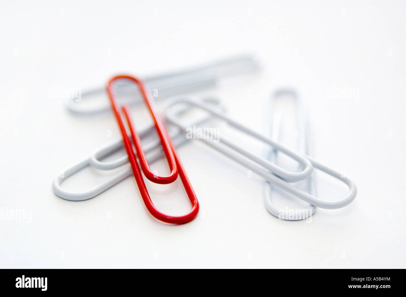 Cluster of red and white paper clips Stock Photo - Alamy