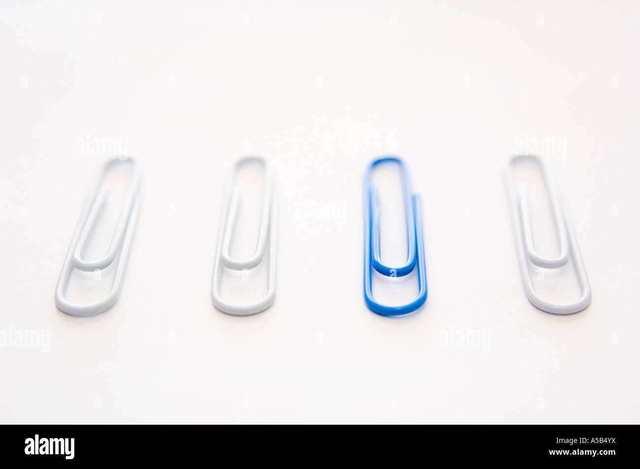 Blue paper clip with collection of white ones Stock Photo - Alamy