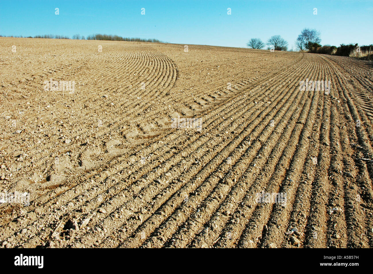 Farmland that has recently been drilled with seed and rolled Stock ...