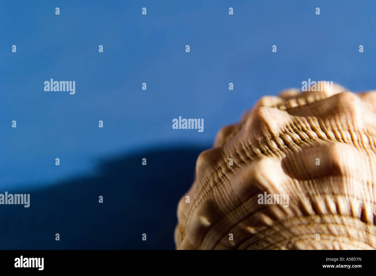 Cross section of ocean hi-res stock photography and images - Alamy