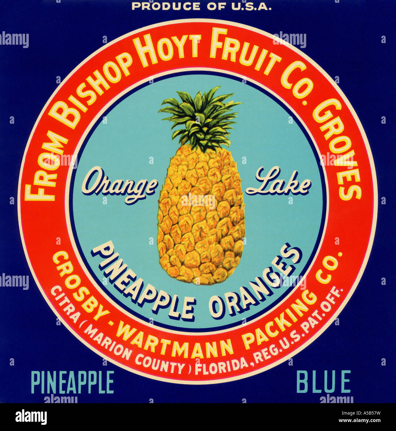 Orange Lake Brand Pineapples Stock Photo - Alamy