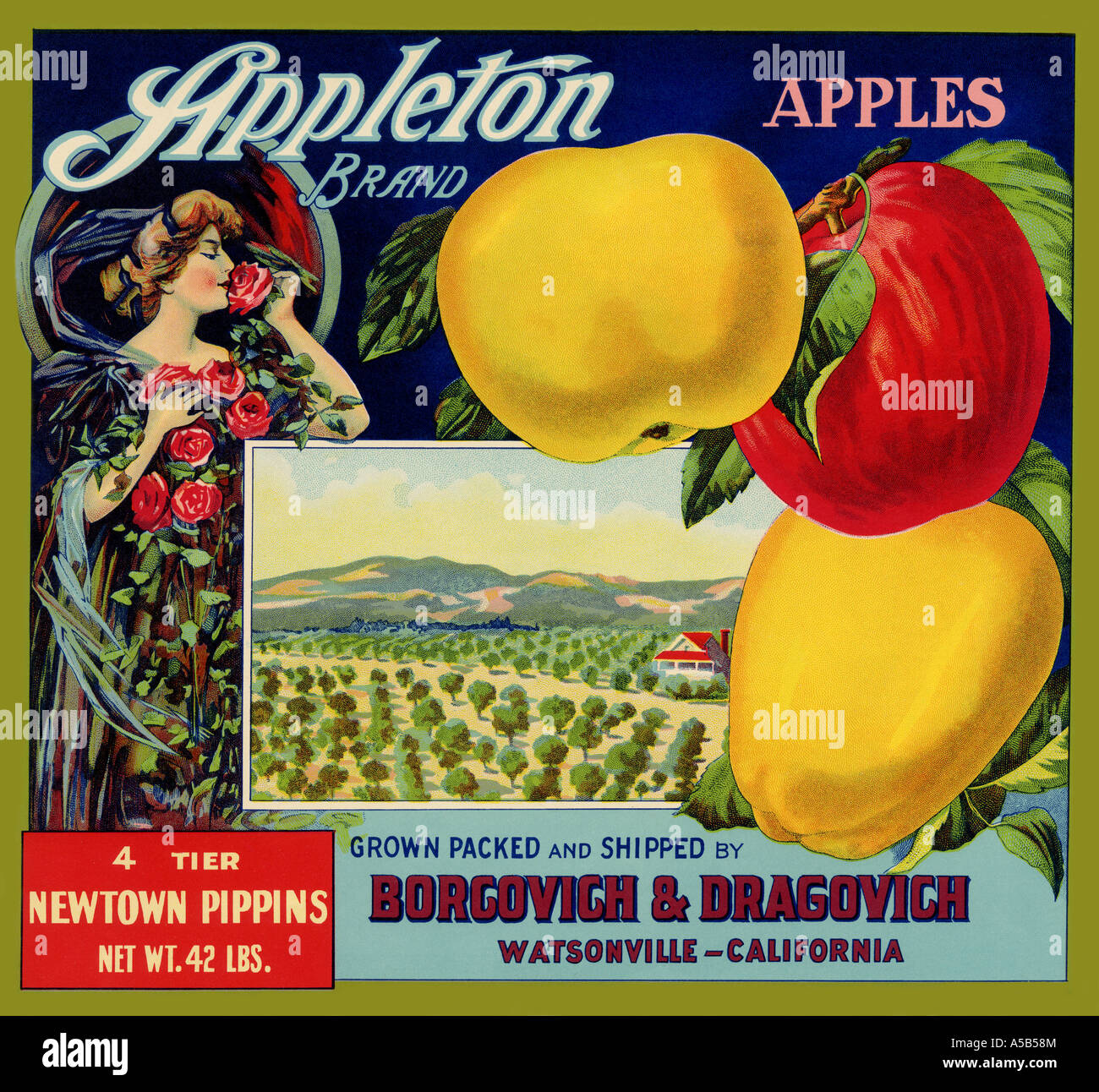 Appleton Brand Apples Stock Photo - Alamy