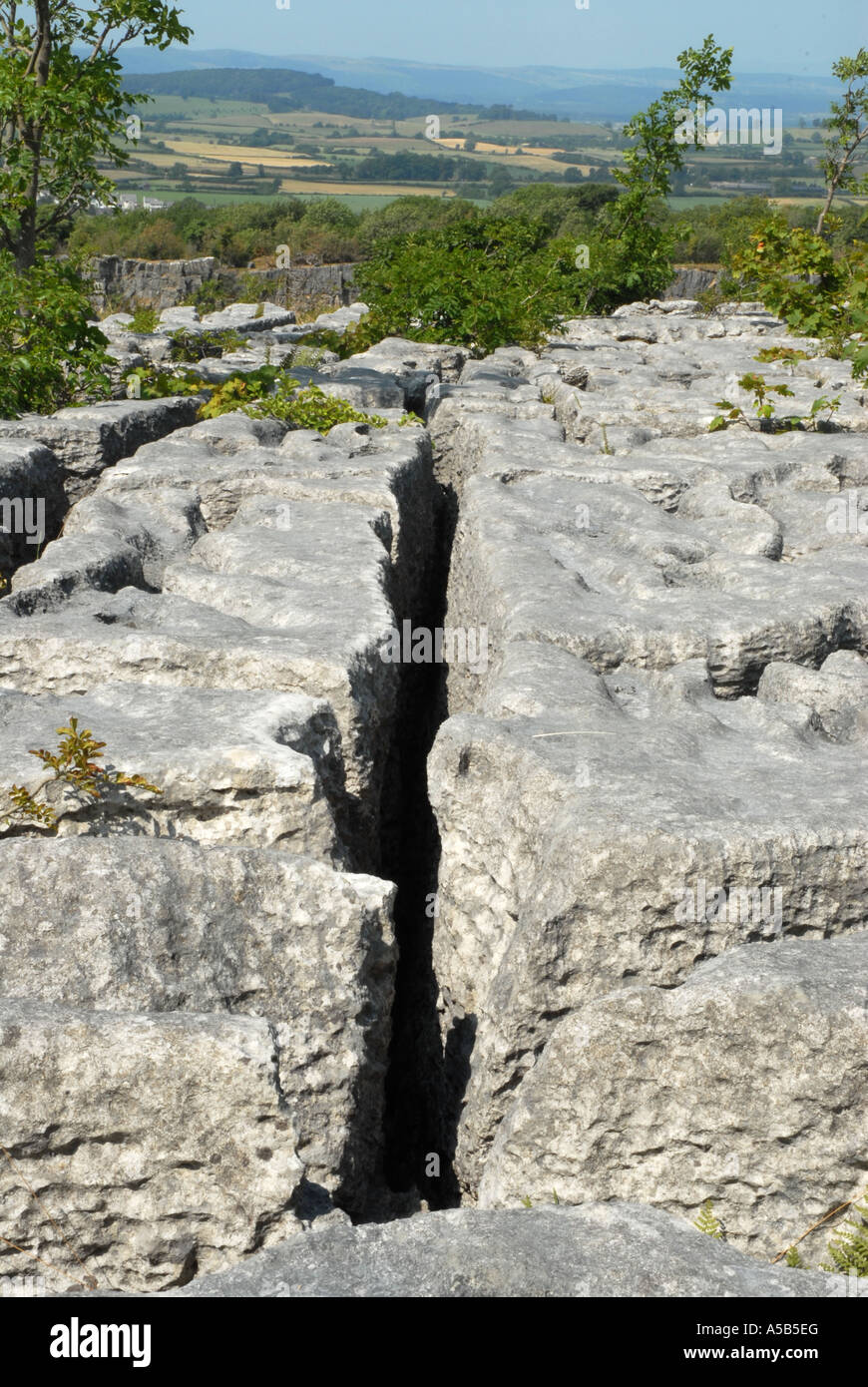 A deep Gryke in Limestone Pavement Stock Photo - Alamy