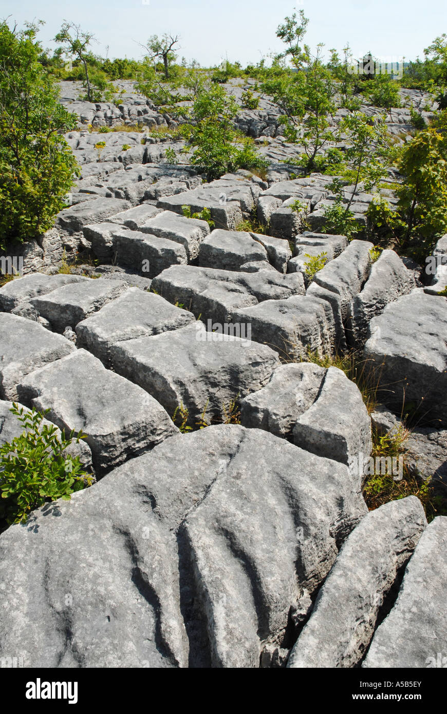 A classic view across typical Limestone Pavement Stock Photo - Alamy