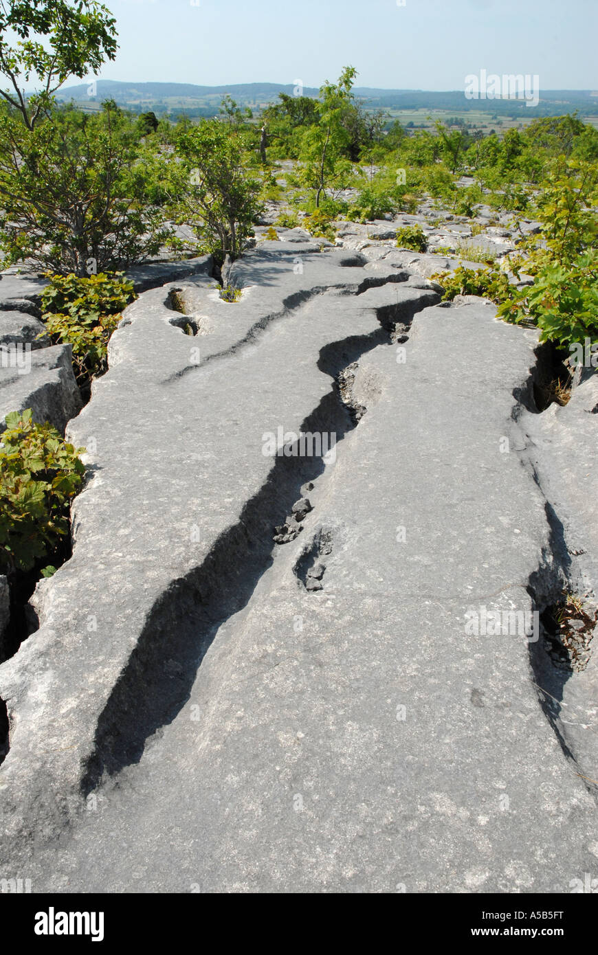 A classic view across typical Limestone Pavement Stock Photo - Alamy