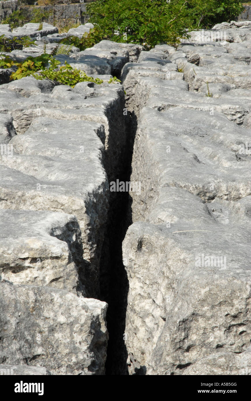 A deep gryke in typical Limestone Pavement Stock Photo - Alamy