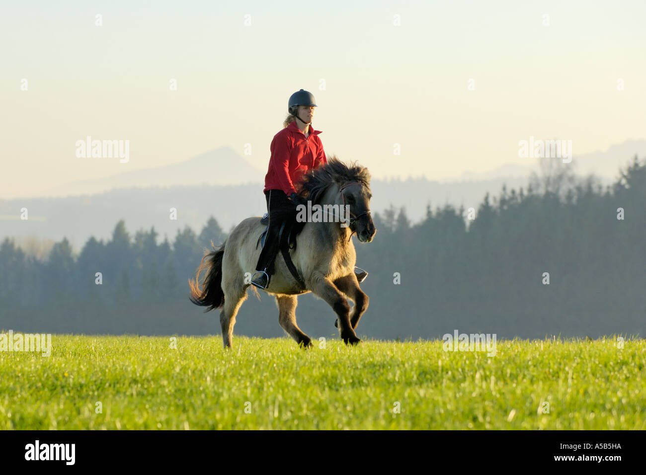 Lady Riding A Horse High Resolution Stock Photography and Images - Alamy