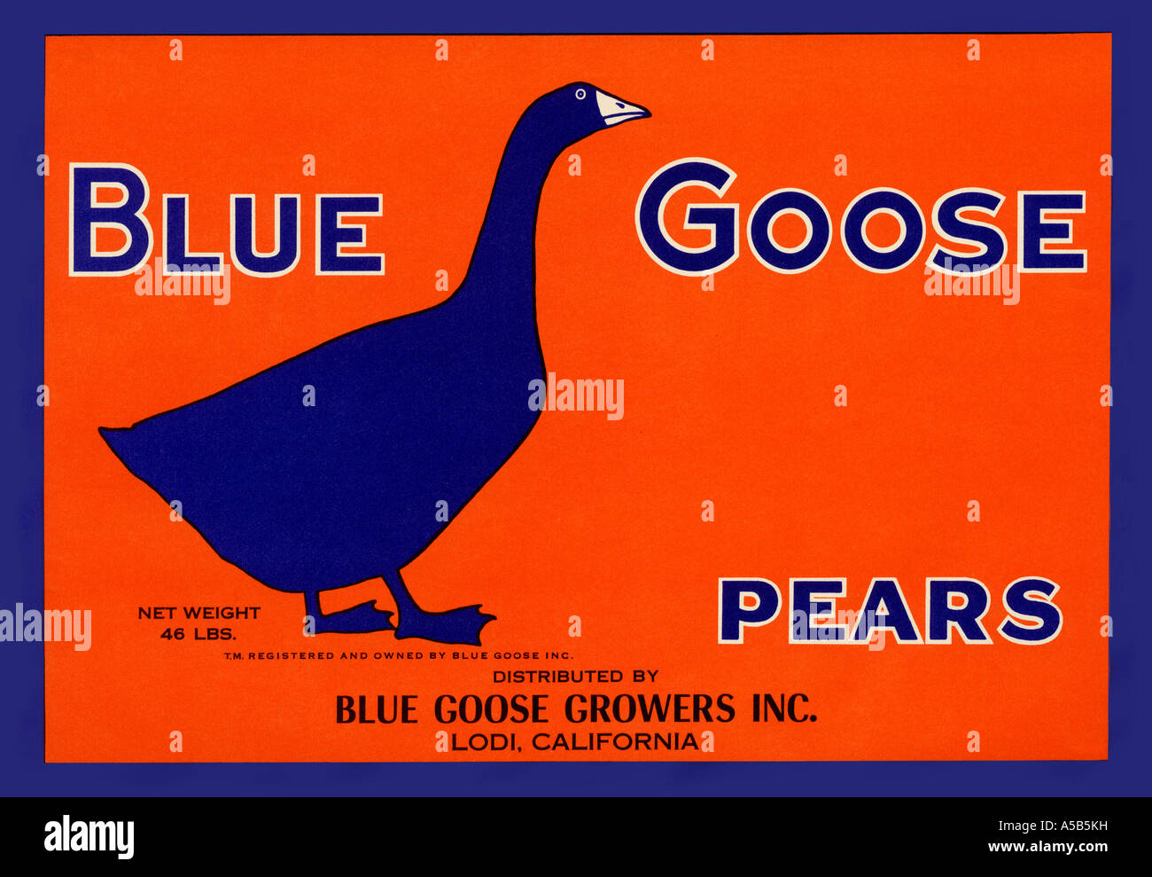 Blue Goose Pears Stock Photo - Alamy