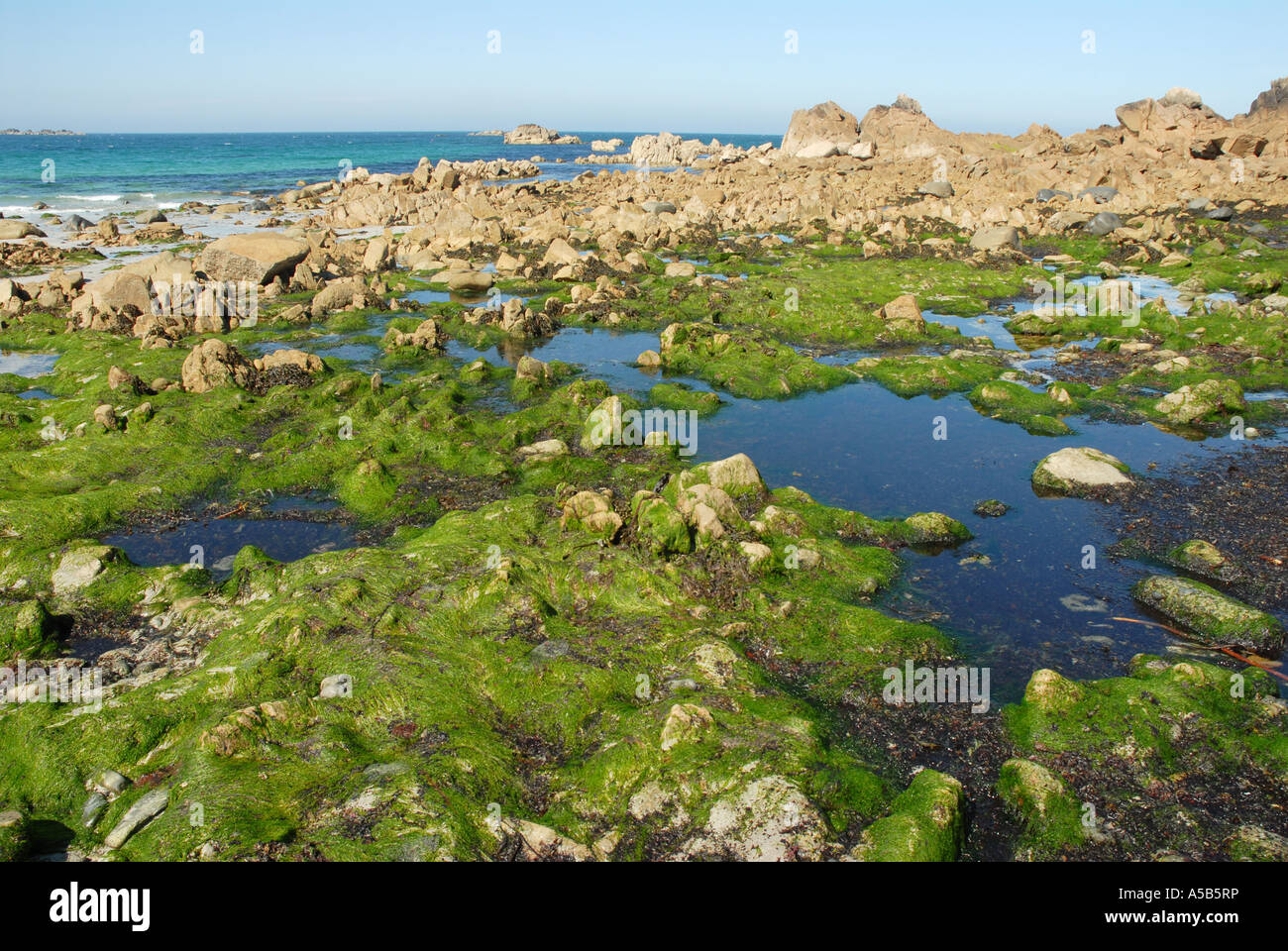 Rock pools with scattered boulders and seaweed Stock Photo - Alamy