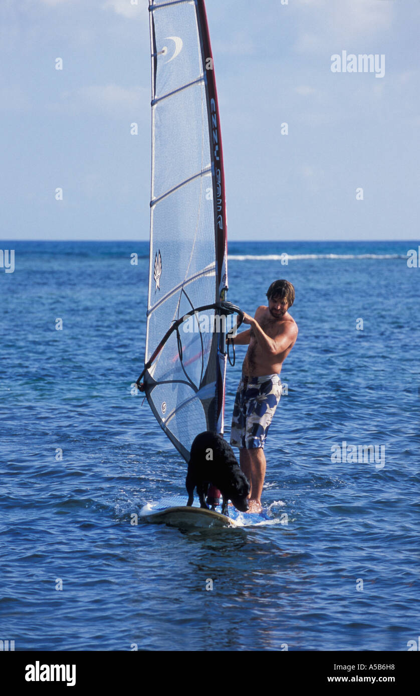 Man windsurfing with his dog Oahu Hawaii Stock Photo - Alamy