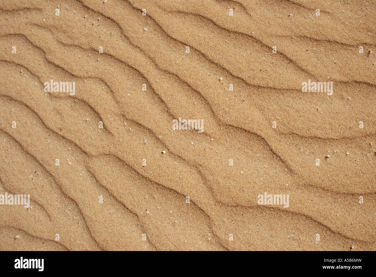 Desert sand blown into a diagonal pattern of ridges Stock Photo - Alamy