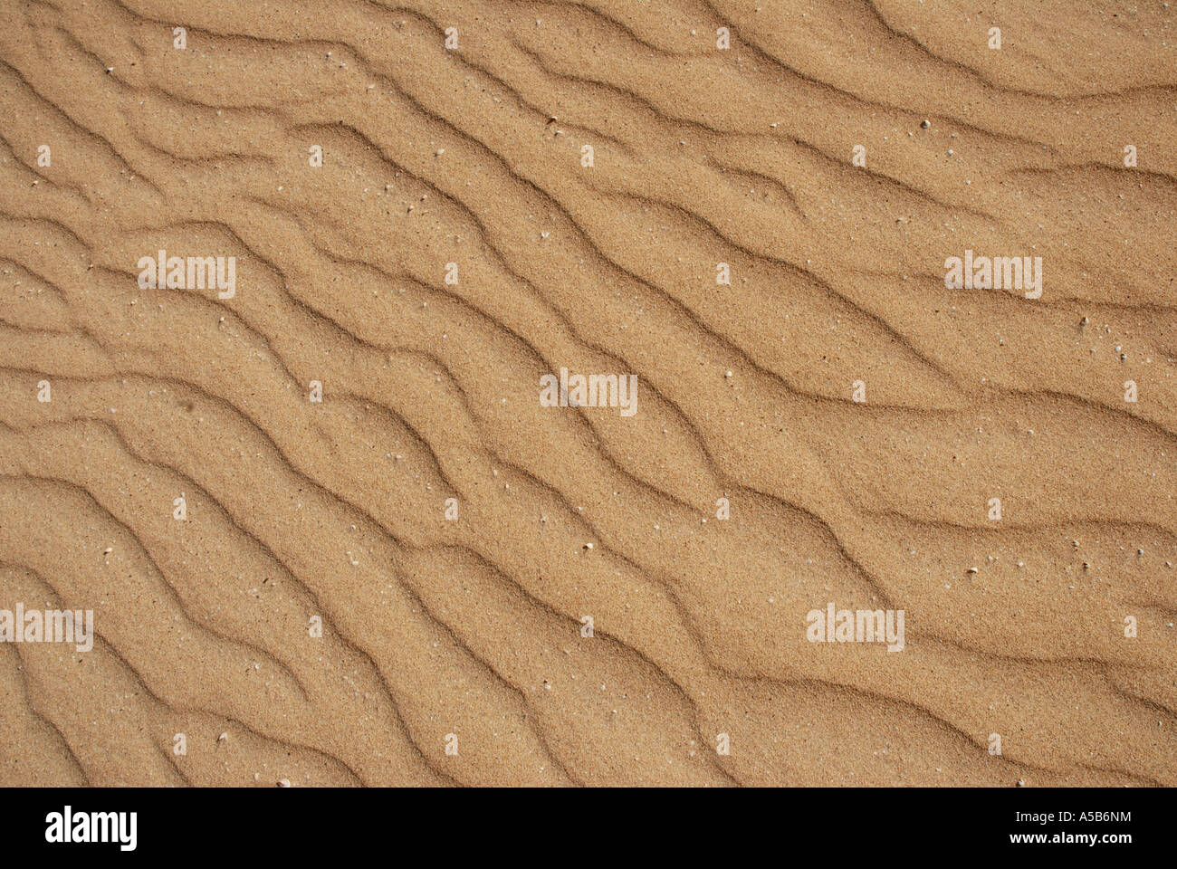 Desert sand blown into a diagonal pattern of ridges Stock Photo - Alamy