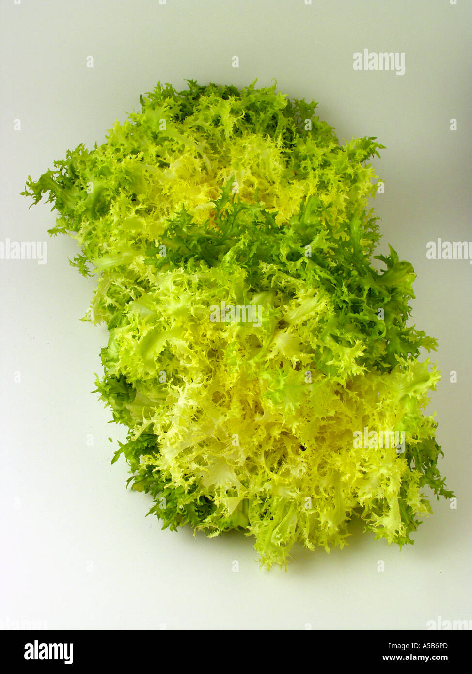 Escarole endives hi-res stock photography and images - Alamy