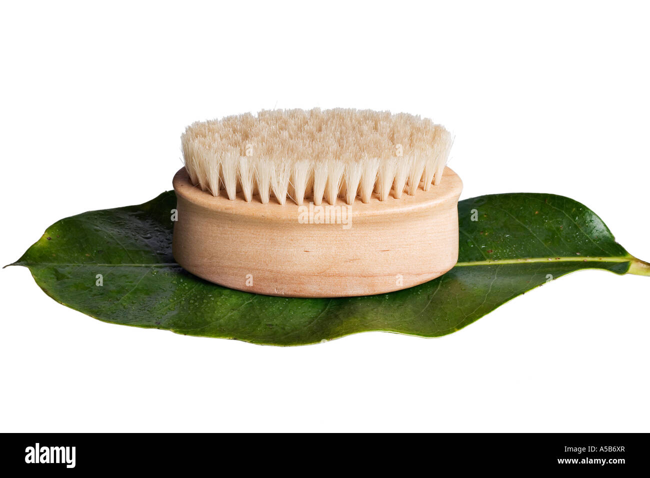 Bath back scrub on leaf Stock Photo - Alamy