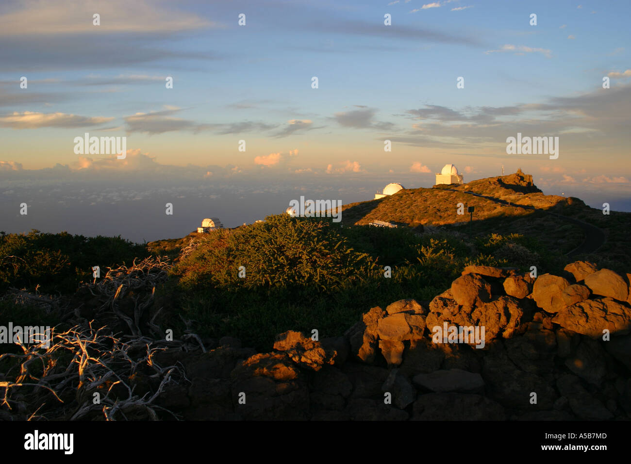 The telescopes of the Isaac Newton group of telescopes based on the ...
