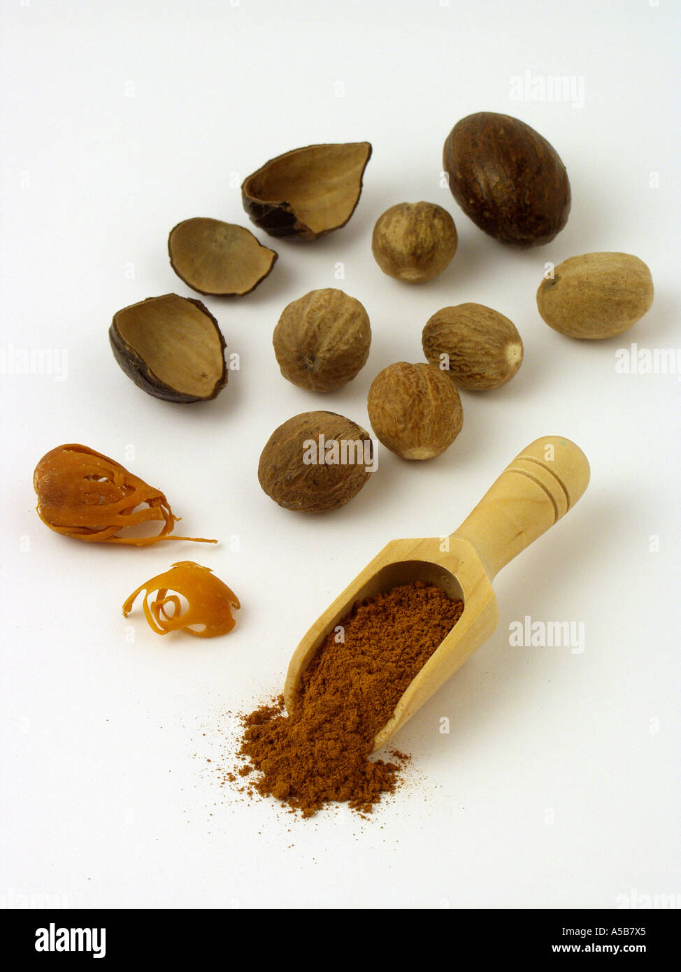 Macis hi-res stock photography and images - Alamy