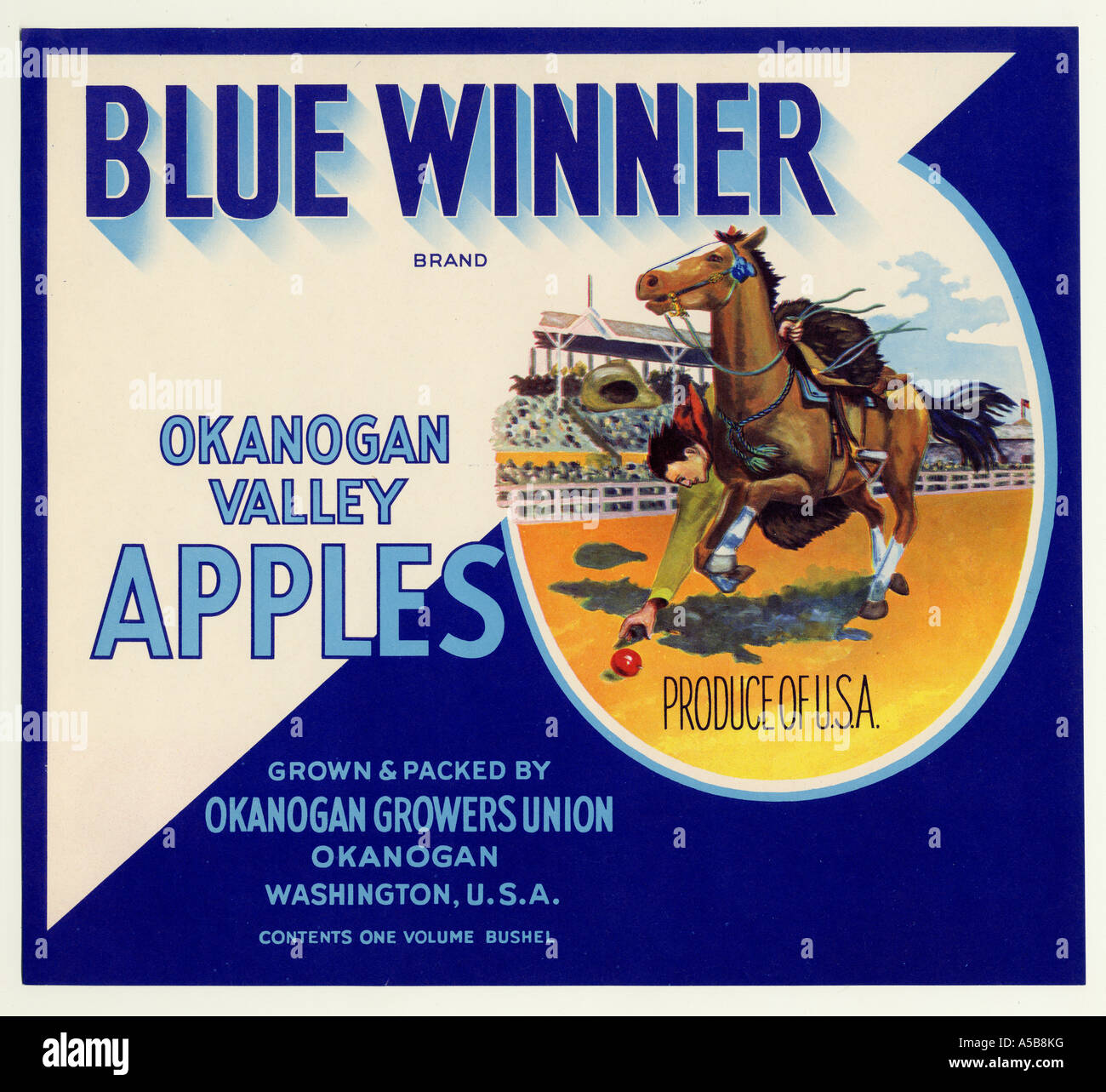 Blue Winner Apples Stock Photo - Alamy