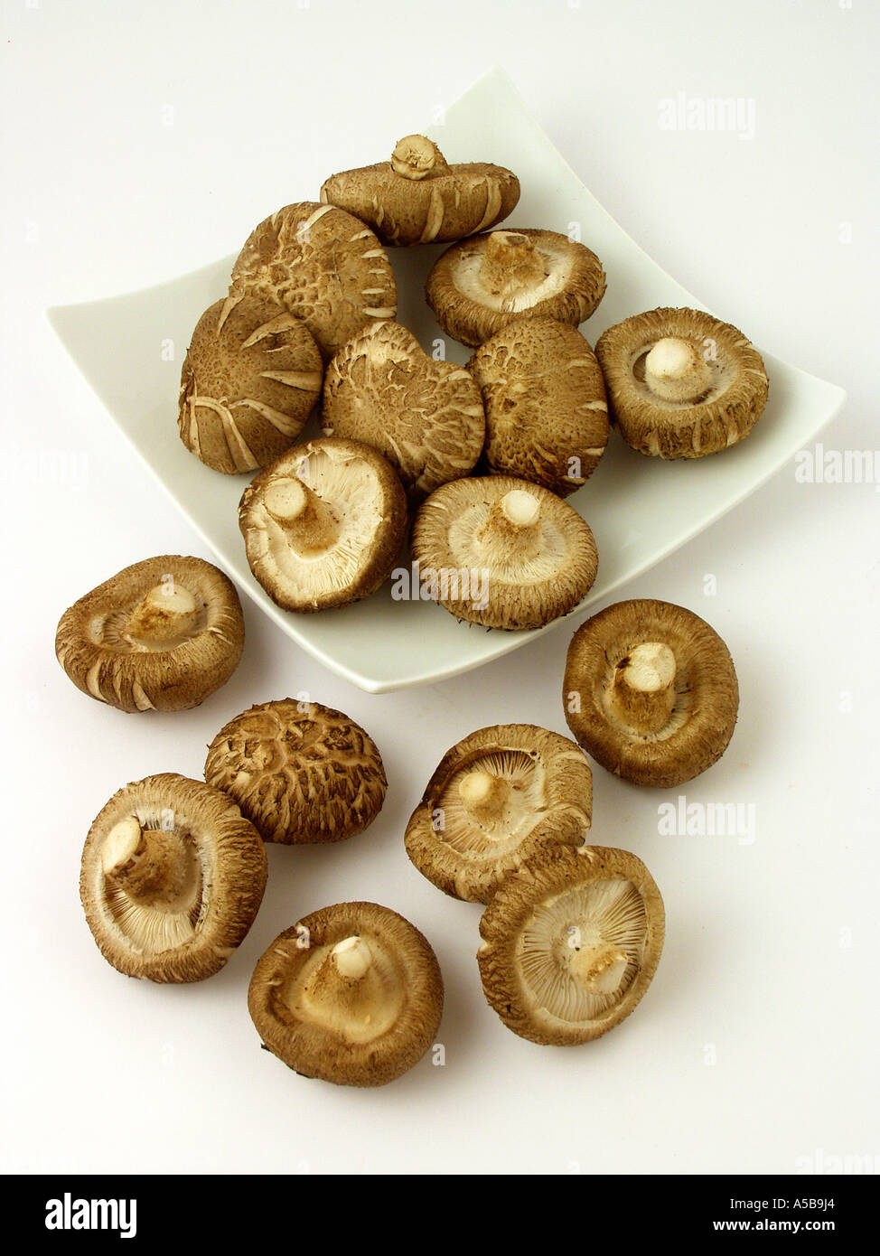 Vegetables shiitake mushroom shitake hi-res stock photography and ...