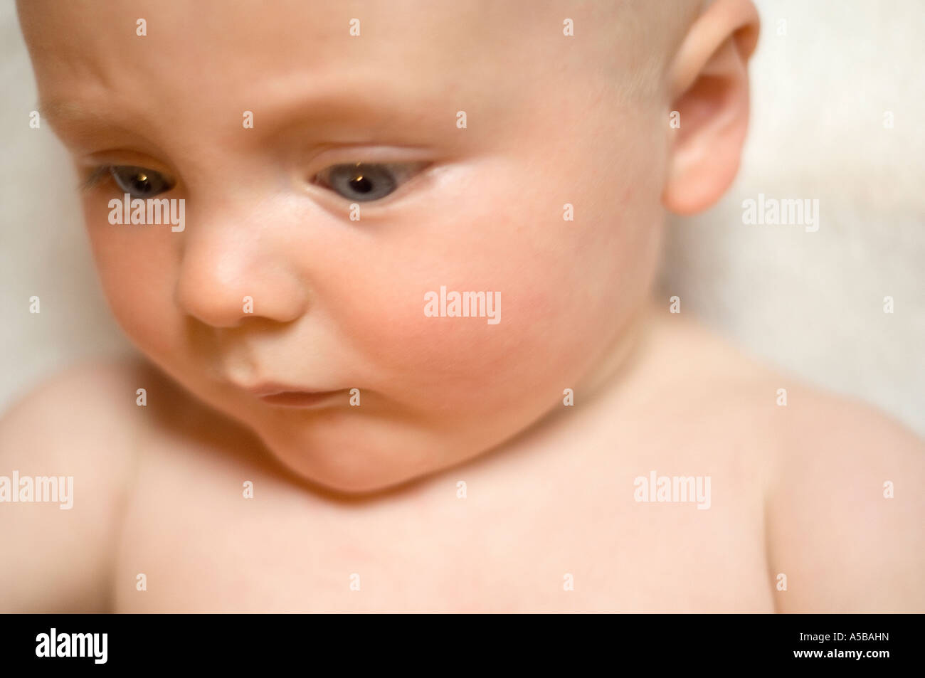 Children watch intently hi-res stock photography and images - Alamy