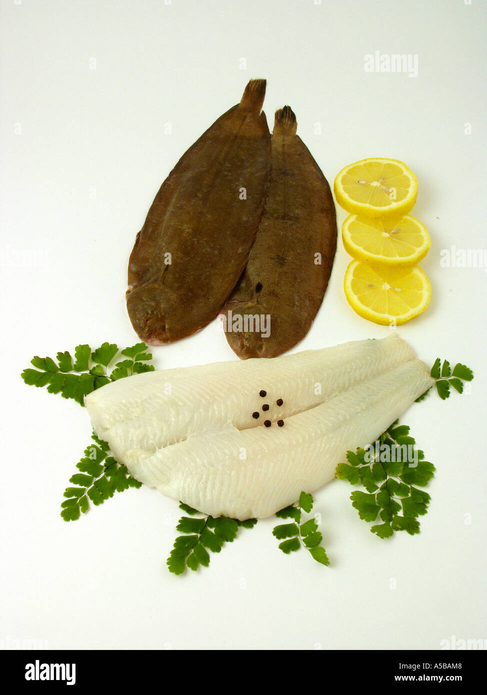 Common sole and halibut fillet Stock Photo - Alamy