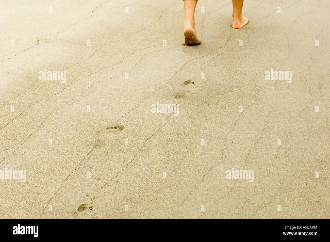 Person walking along beach leaving footprints Stock Photo - Alamy