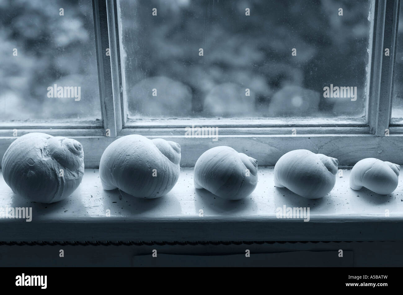 Five shells on a window sill Stock Photo - Alamy