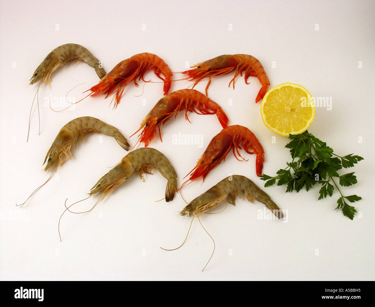 Raw prawns isolated on hi-res stock photography and images - Alamy