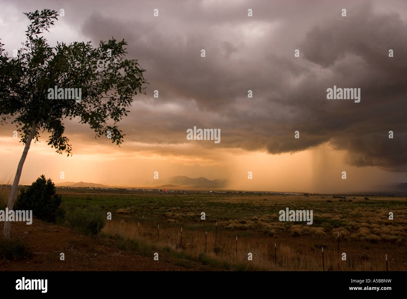 Heavy Rainfall in Arizona Stock Photo - Alamy
