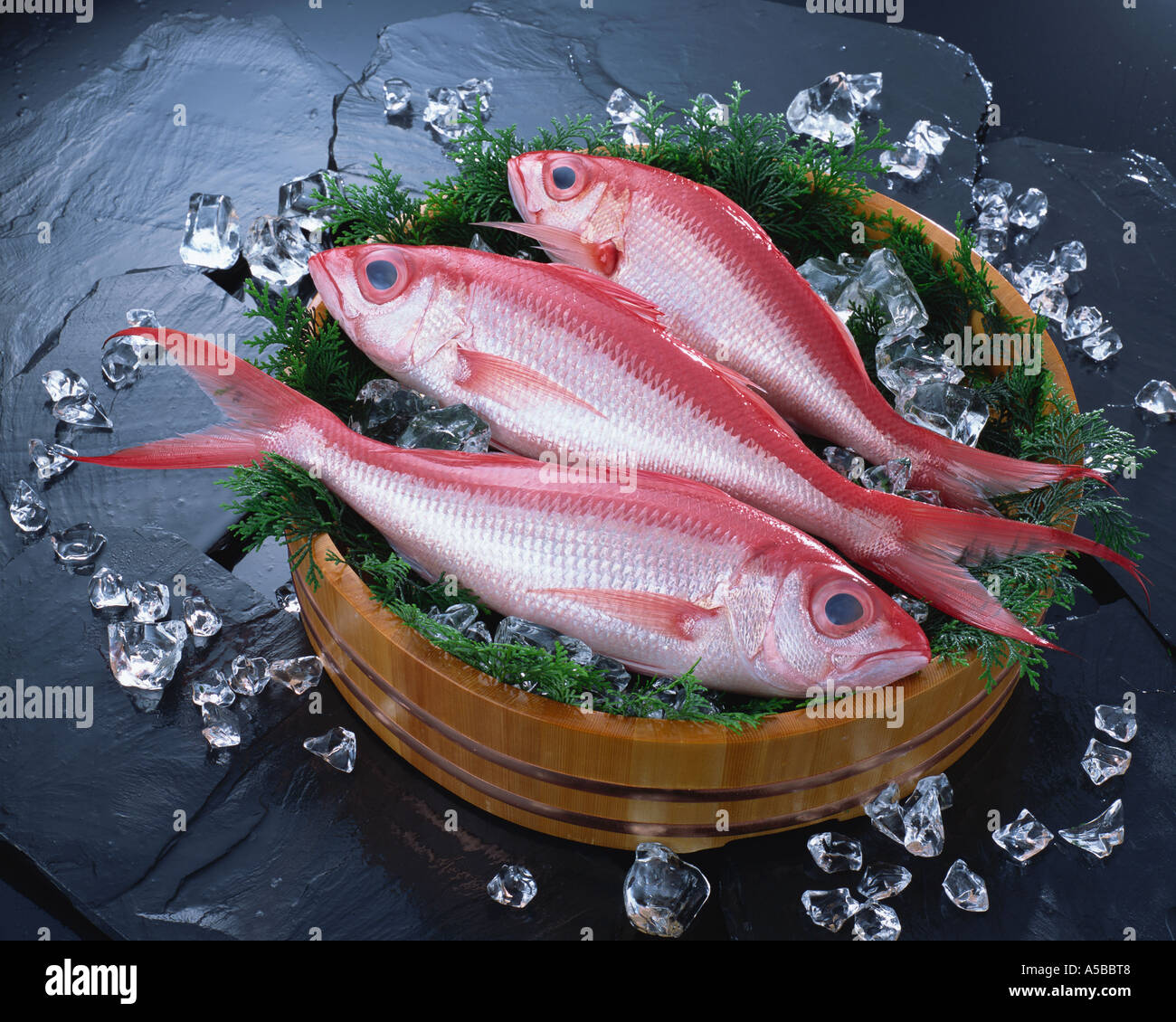 Ruby snapper fish hi-res stock photography and images - Alamy